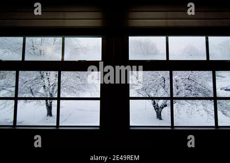Looking through a snowy window at a warm and cosy christmas scene by ...