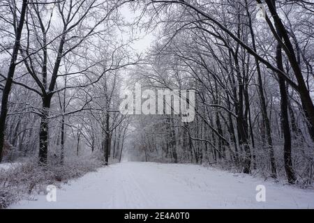 Hiking a snowy & icy winter route trail in Yosemite National Park in ...
