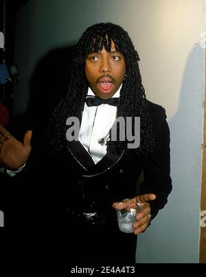 Rick James Credit: Ralph Dominguez/MediaPunch Stock Photo - Alamy