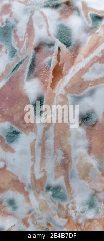 Fungus and mold on Mortadella, background, São Paulo, Brazil Stock ...