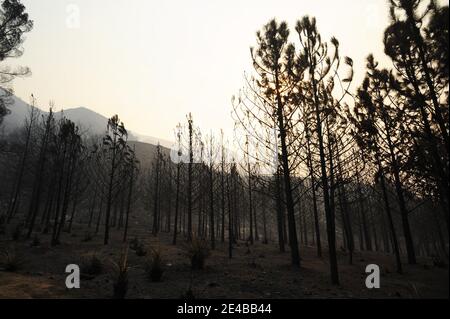 The Aftermath of the Angeles National Forest fire in Los Angeles, CA ...