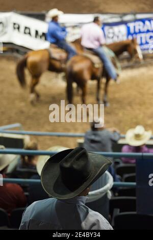 USA, Oklahoma, Oklahoma City, Oklahoma State Fair Park, Cowboy Rodeo ...