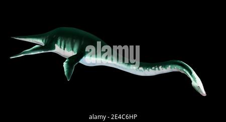 Artwork of a plesiosaurus. This extinct animal lends it name to an ...
