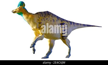 Hadrosaurus is a genus of hadrosaurid dinosaur. In 1858, the only known ...