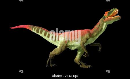 Allosaurus dinosaur, artwork. Allosaurs were large carnivorous reptiles ...