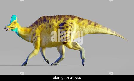 Hadrosaurus is a genus of hadrosaurid dinosaur. In 1858, the only known ...