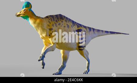 Hadrosaurus is a genus of hadrosaurid dinosaur. In 1858, the only known ...