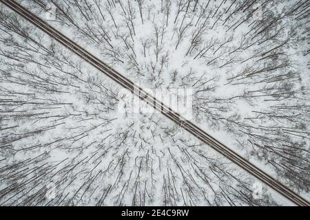 Top down view of road through forest at sunrise Stock Photo - Alamy