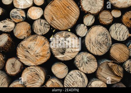Pile of wood forming a wall. Environmental ecology problems ...