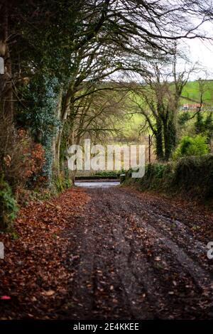 The rural landscape of Co. Monaghan, Ireland Stock Photo - Alamy