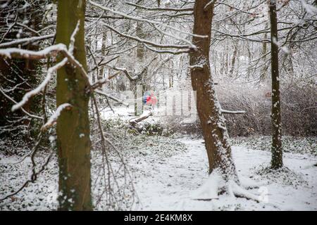Belfast, UK. 24th Jan, 2021. Belfast, County Antrim, UK. January 24th ...