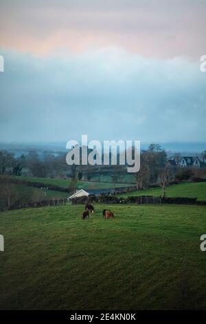 The rural landscape of Co. Monaghan, Ireland Stock Photo - Alamy