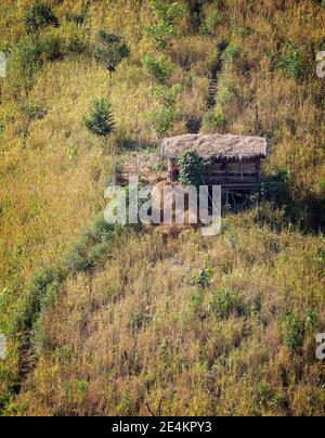 Jhum cultivation in bangladesh. this photo was taken from Chittagong ...