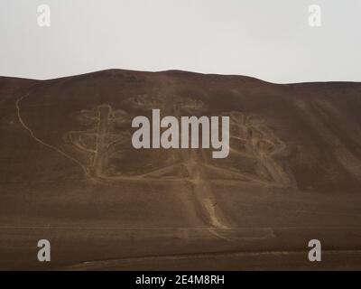 Trident at Paracas desert, Paracas Peru Stock Photo - Alamy