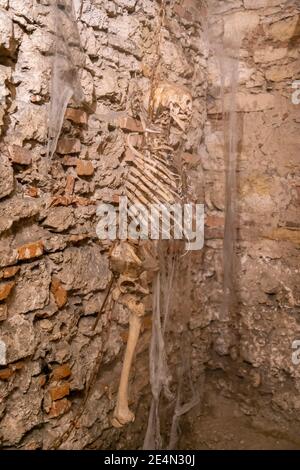 Human skeleton hanging in a dungeon. Tortured man hanged at the end ...