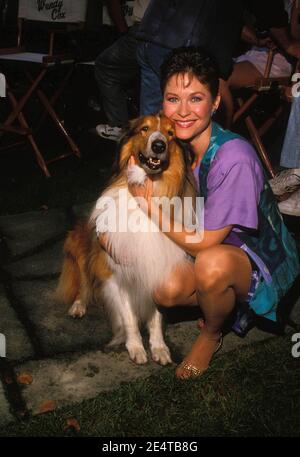 Dee Wallace 1989 Credit: Ralph Dominguez/MediaPunch Stock Photo - Alamy