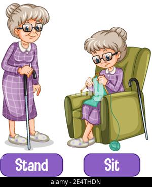 Opposite English Words sit and stand illustration Stock Vector Image ...