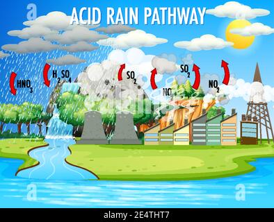 Diagram showing acid rain pathway illustration Stock Vector Image & Art ...