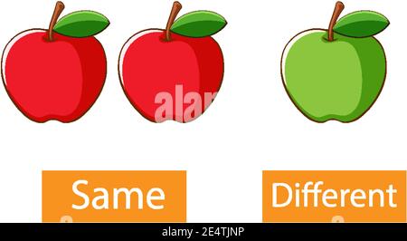 Opposite adjective words with same and different illustration Stock ...