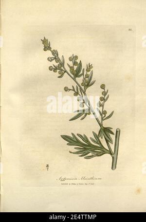 Medical botany (Plate 22 Stock Photo - Alamy
