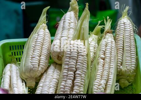 Choclo, or Peruvian large kernel corn, as seen at Lima's annual ...