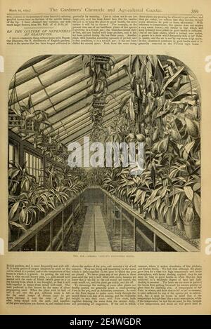 . The Gardeners' chronicle and agricultural gazette Stock Photo - Alamy