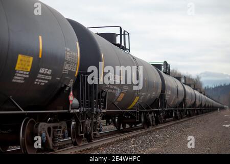 A line of DOT-111 railroad tanker cars, on the tracks at the BNSF train ...