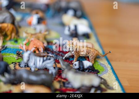 A child and a cat. Selective focus Stock Photo - Alamy