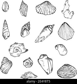 Sea creatures. Color vector illustration collection. Ocean dwellers ...