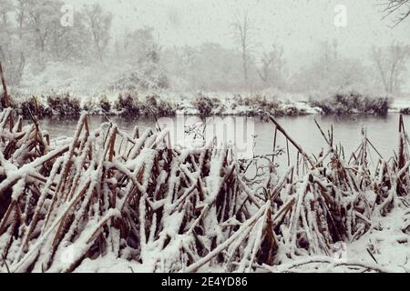Snow falling over the River Wey in Godalming, Surrey, UK Stock Photo ...