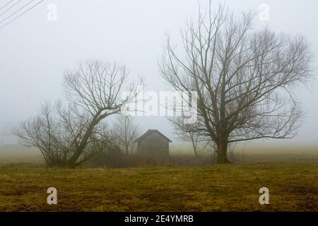 Poland, Rajgrod, Podlasie landscape Stock Photo - Alamy