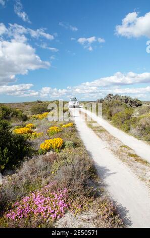 Velddrif, Western Cape, South Africa. 2023. Truck with side tipping ...