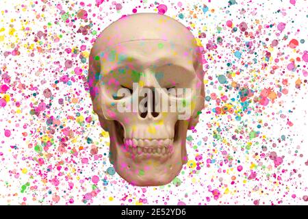 Small model skull with paint splater background Stock Photo - Alamy