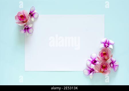 Blank paper with orchids on a blue background, copy space Stock Photo ...