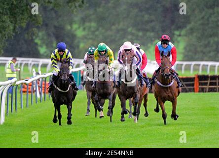 SCOTLAND Perth -- 16 Aug 2014 -- SOLWAY SAM rode by Ryan Day in the 4: ...
