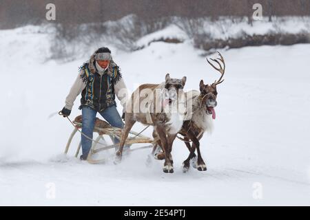 Iengra, Neryungri District, Yakutia, Russia. 5 March 2016. The Evenk ...