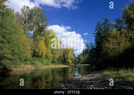 Calapooia River, McKercher County Park, Linn County, Oregon Stock Photo ...