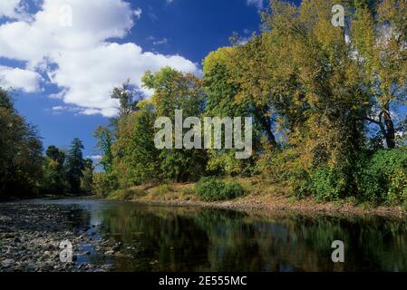 Calapooia River, McKercher County Park, Linn County, Oregon Stock Photo ...