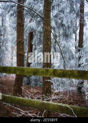 Winter landscapes in Southern England UK Frosty, snowy country fields ...