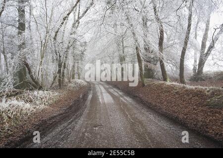 Winter landscapes in Southern England UK Frosty, snowy country fields ...