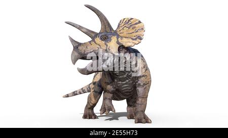 3d Triceratops front view Stock Photo - Alamy