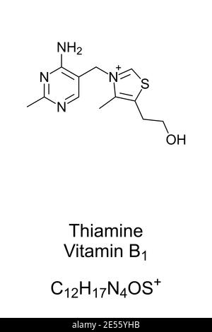 Vitamin B1, thiamine. Chemical formula, molecular structure. 3D ...