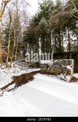 "Echo" by Annie Cattrell. A walk in the snow along the Forest of Dean ...