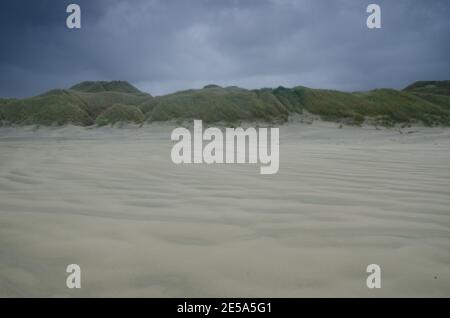 Mason Bay sand dunes, Rakiura National Park, Stewart Island, New ...