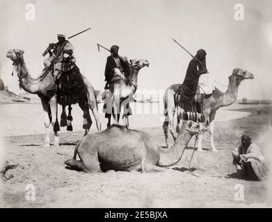 19th century vintage photograph: men with guns mounted on camels, Egypt ...