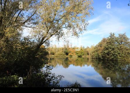 Fishing lake in woodland at Evegate, Smeeth, Ashford, Kent, England ...