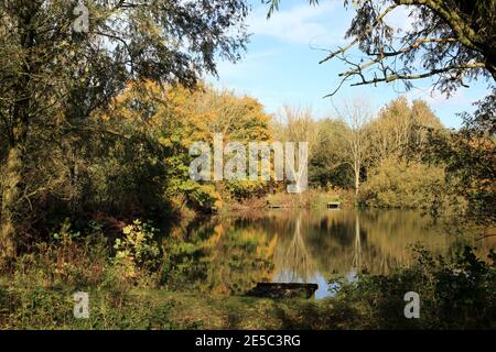 Fishing lake in woodland at Evegate, Smeeth, Ashford, Kent, England ...
