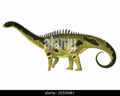 Agustinia was a herbivorous sauropod dinosaur that lived in South ...