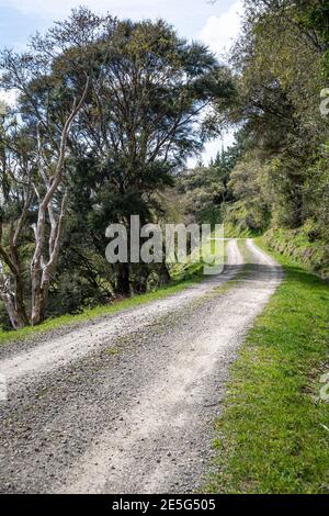 Country road near Pongaroa, Tararua District, North Island, New Zealand ...