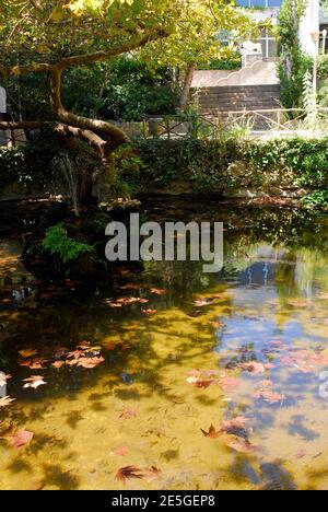 Rhodes Rodini park, Valley of Butterflies and Theologos village 2 9 ...